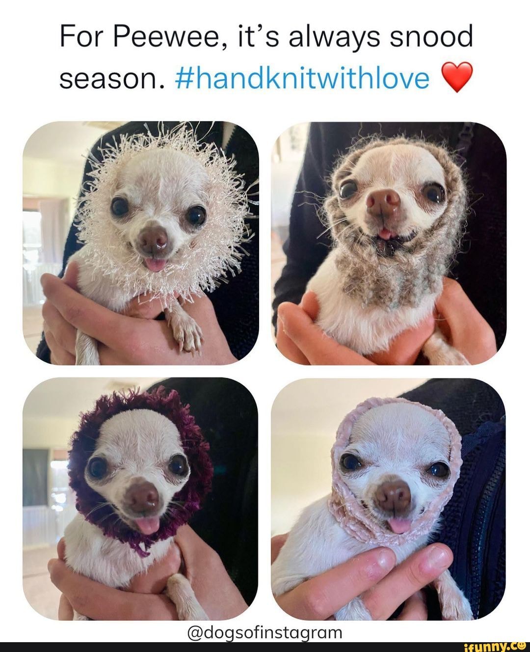 Snood memes. Best Collection of funny Snood pictures on iFunny