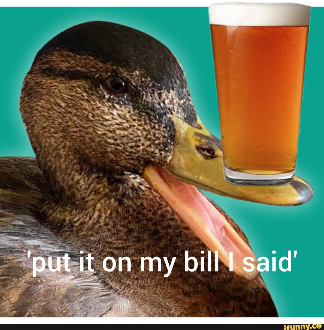 Quackers memes. Best Collection of funny Quackers pictures on iFunny