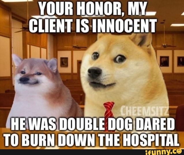 YOUR HONOR, MY_ CLIENT IS INNOCENT HE WAS DOUBLE DOG DARED TO BURN DOWN ...