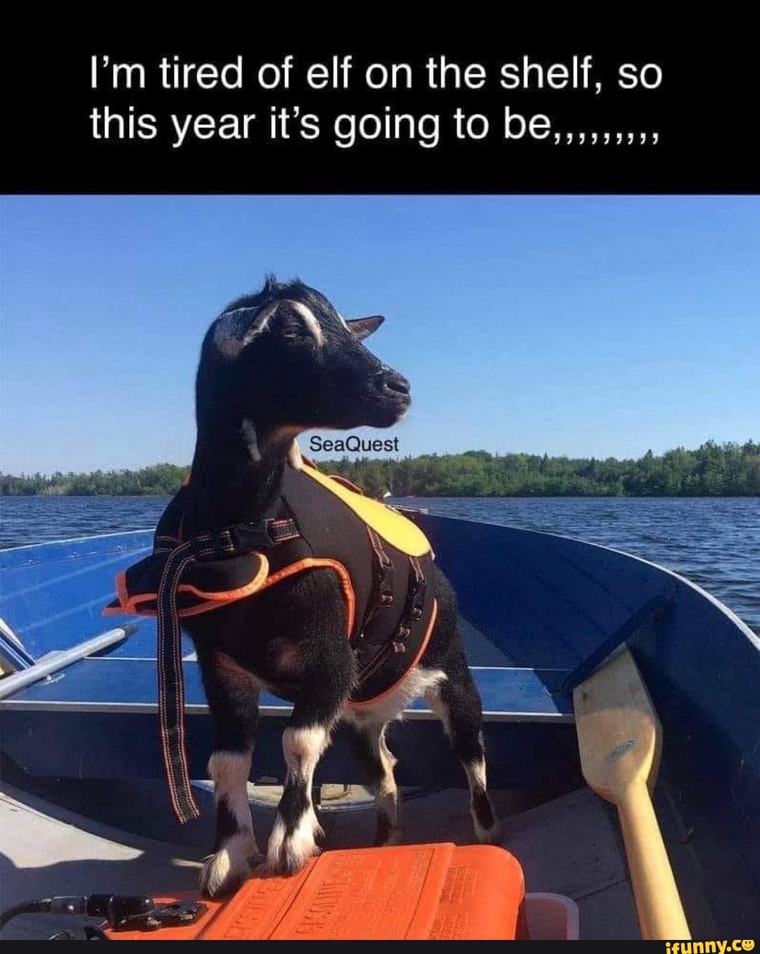 Seaquest memes. Best Collection of funny Seaquest pictures on iFunny
