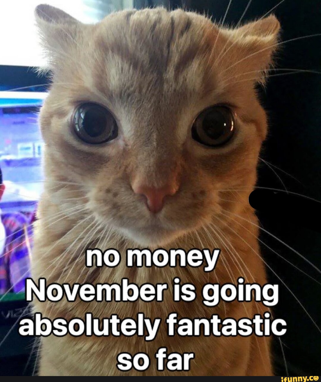 Where is Morgan Freeman? Shouldn't he be narrating this shit or ...