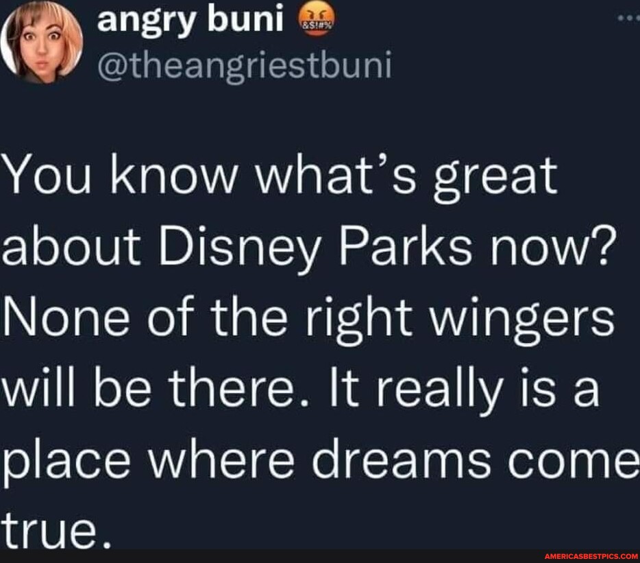 Angry buni @theangriestbuni You know what's great about Disney Parks ...
