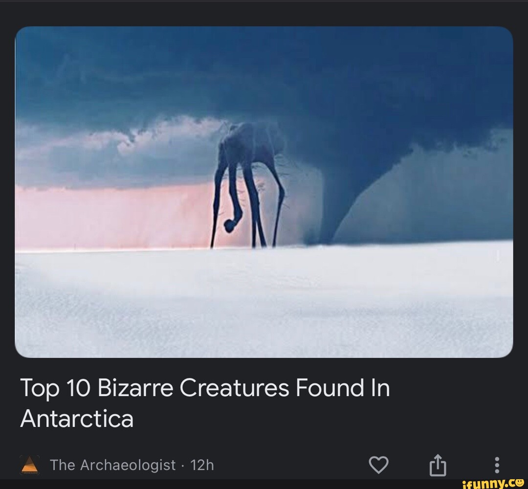 Top 10 Bizarre Creatures Found In Antarctica mm The Archaeologist - iFunny
