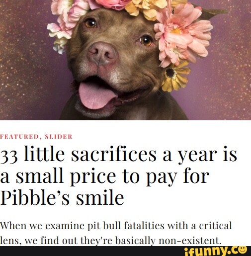 Pibbles memes. Best Collection of funny Pibbles pictures on iFunny