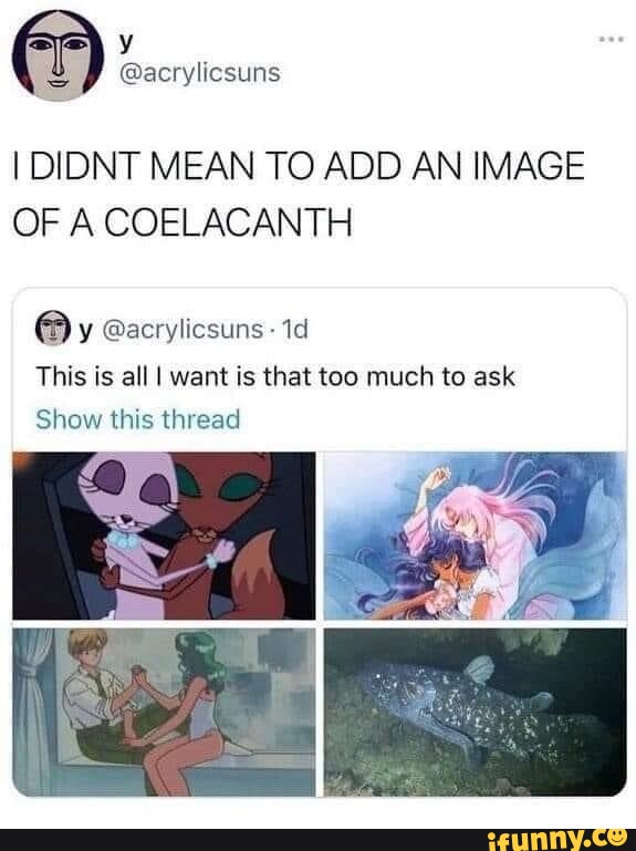 Coelacanth memes. Best Collection of funny Coelacanth pictures on iFunny