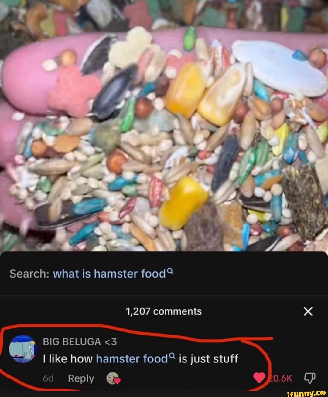 Beluga memes. Best Collection of funny Beluga pictures on iFunny