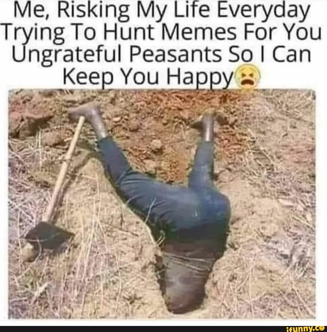 Me, Risking My Life Everyday Trying To Hunt Memes For You ngrateful ...