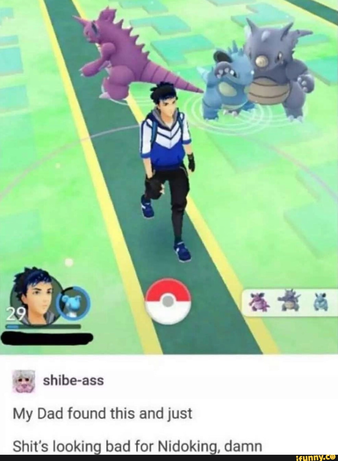 Shibe memes. Best Collection of funny Shibe pictures on iFunny