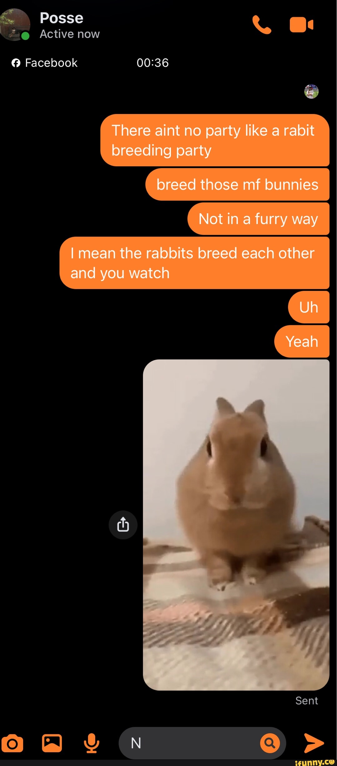 Breedem memes. Best Collection of funny Breedem pictures on iFunny