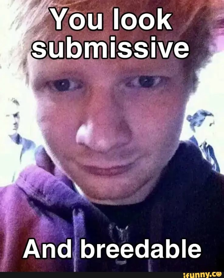 Breedable memes. Best Collection of funny Breedable pictures on iFunny