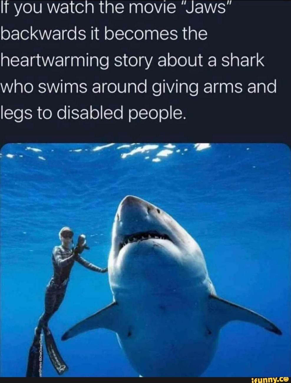 It you watch the movie "Jaws" backwards it becomes the heartwarming ...