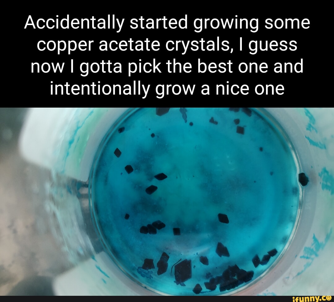 Copper memes. Best Collection of funny Copper pictures on iFunny