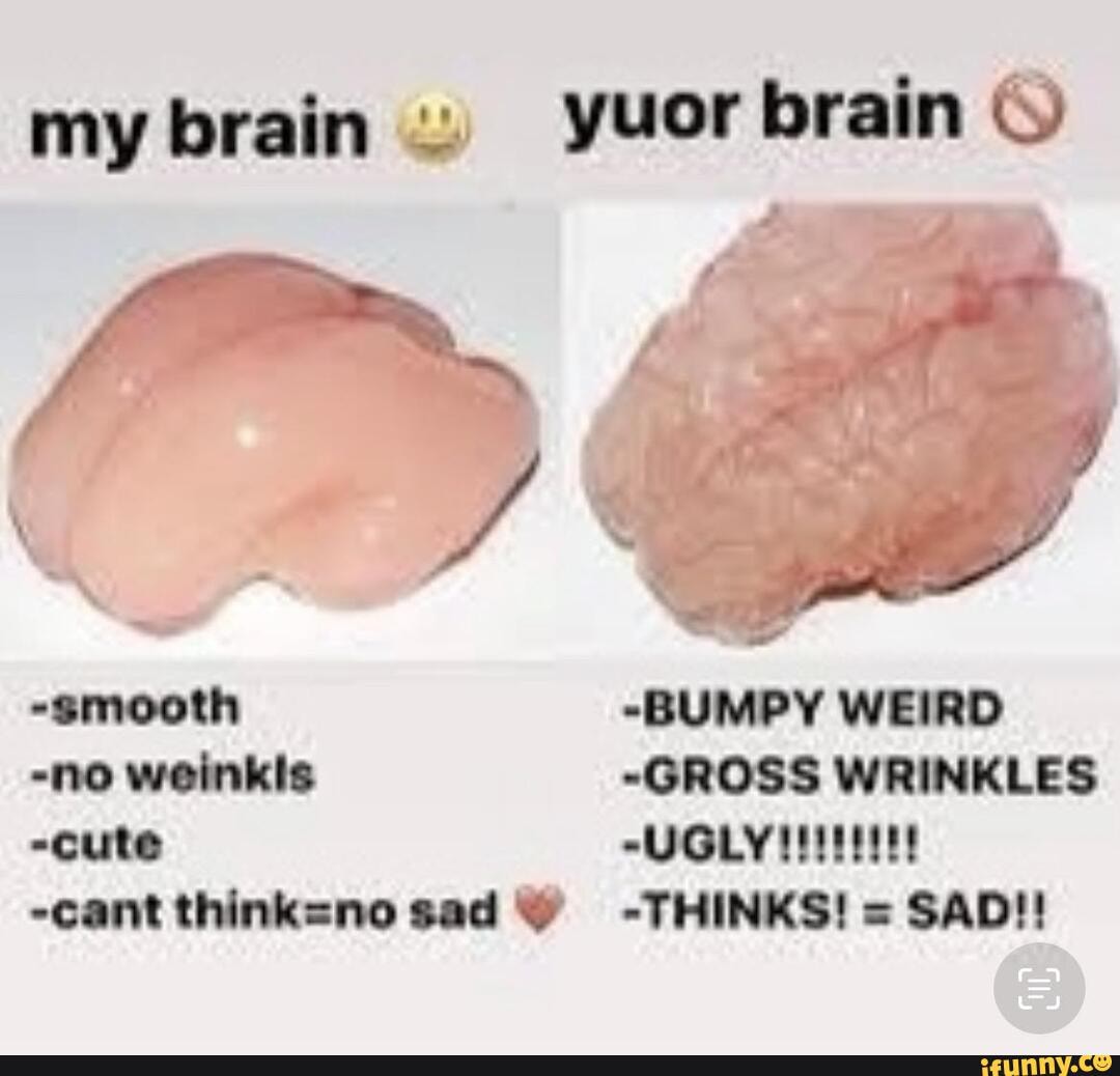 My brain yuor brain -smooth -BUMPY WEIRD -no weinkls ~GROSS WRINKLES ...