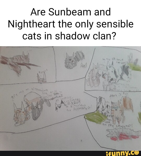 Are Sunbeam and Nightheart the only sensible cats in shadow clan? - iFunny