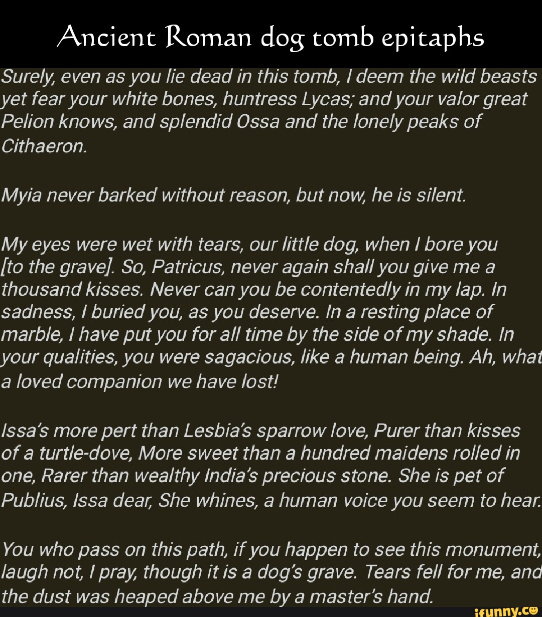 Epitaphs memes. Best Collection of funny Epitaphs pictures on iFunny