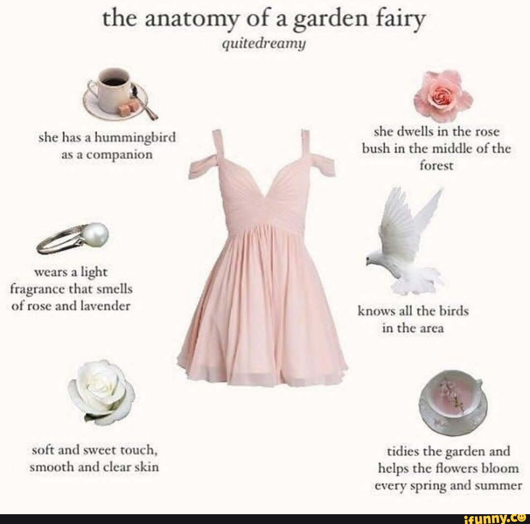 Hummingbird memes. Best Collection of funny Hummingbird pictures on iFunny