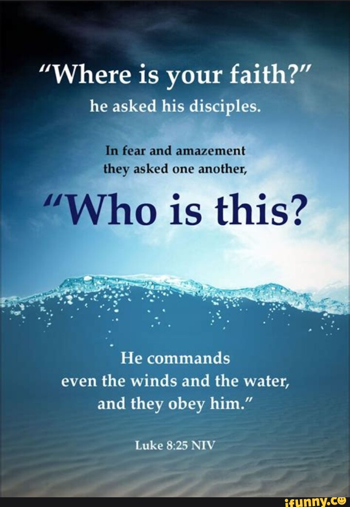 "Where is your faith?" he asked his disciples. I fear and amazement ...