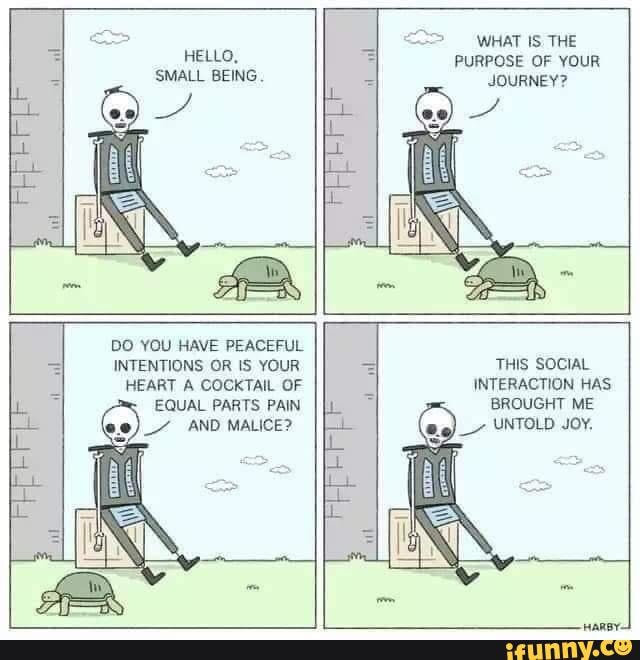 Meme dumb - HELLO, SMALL BEING. WHAT IS THE PURPOSE OF YOUR JOURNEY? DO ...