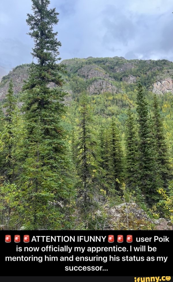 Successor memes. Best Collection of funny Successor pictures on iFunny