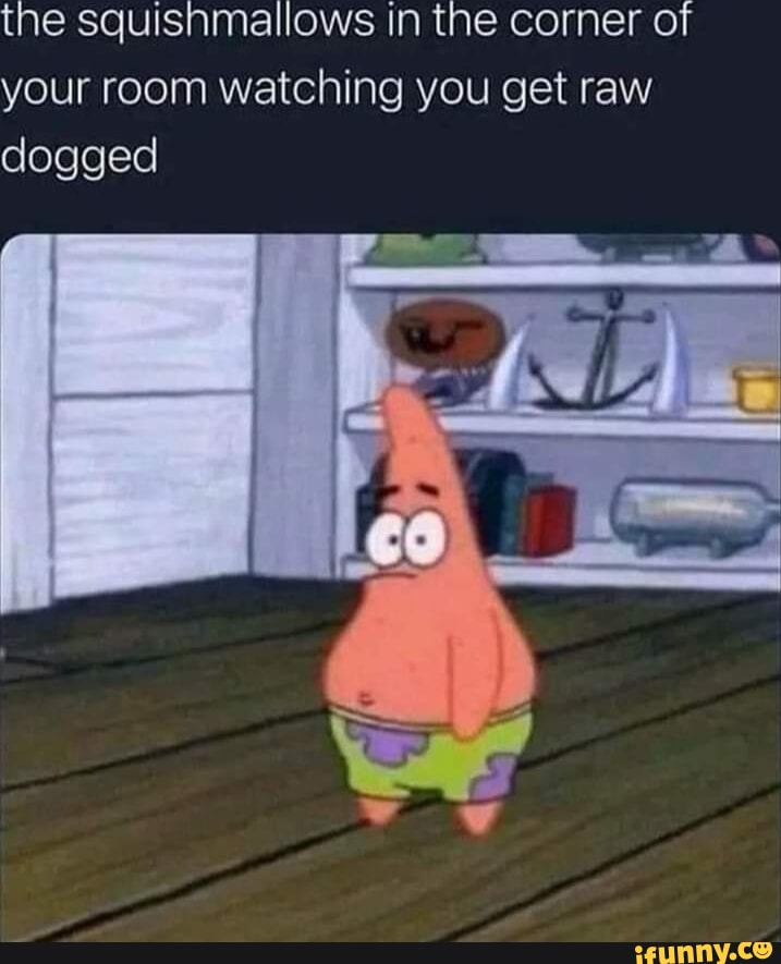 Squishmallows memes. Best Collection of funny Squishmallows pictures on ...