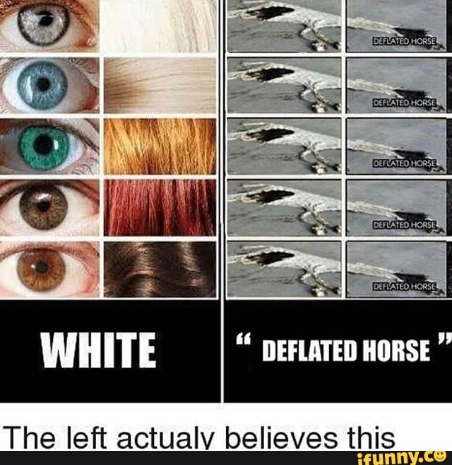 DEFLATED HORSE The left actualv believes this - iFunny