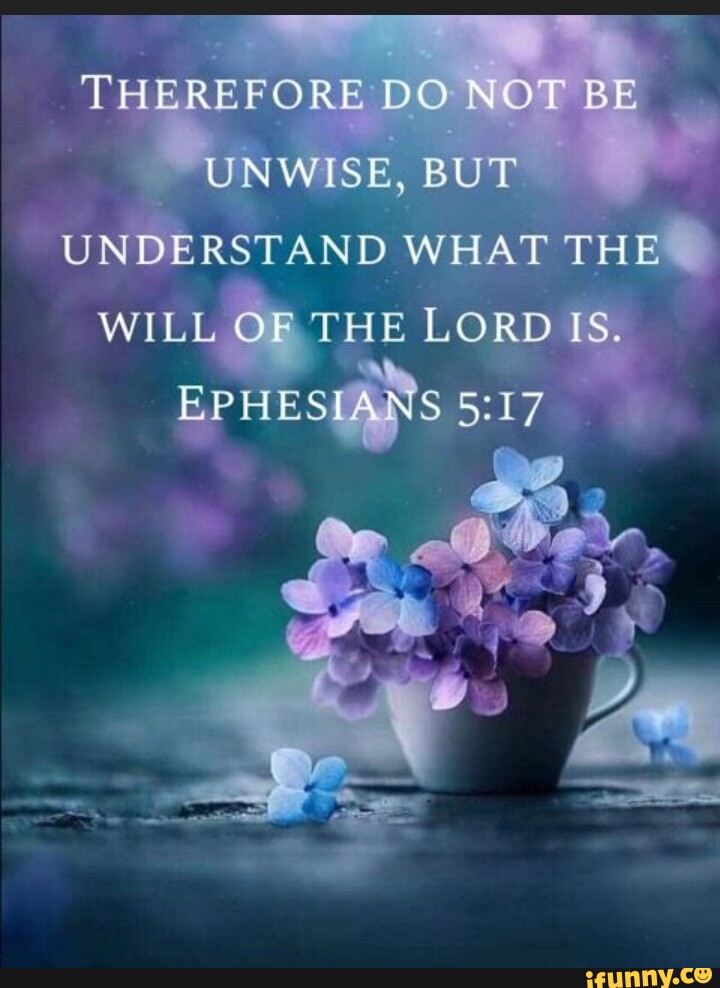 Unwise memes. Best Collection of funny Unwise pictures on iFunny