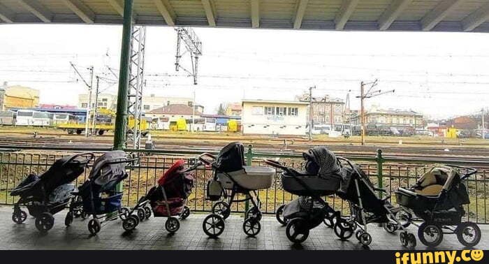 Prams memes. Best Collection of funny Prams pictures on iFunny