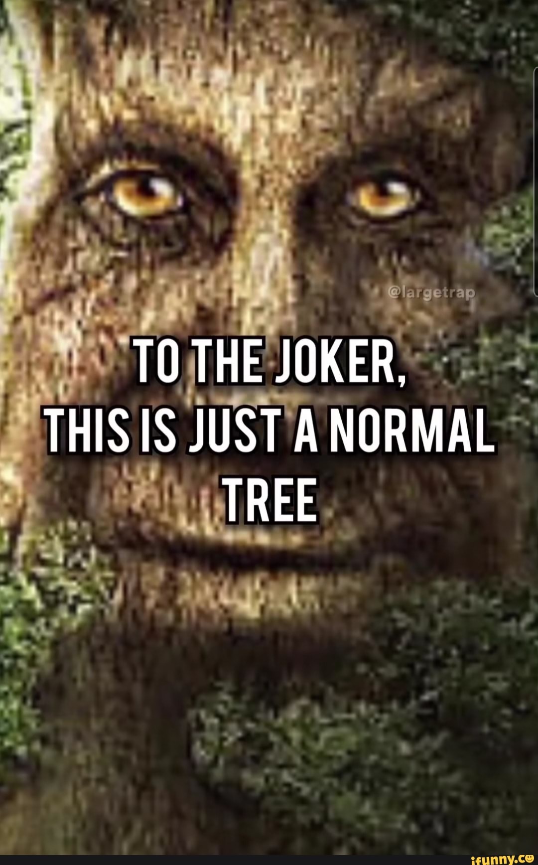 TO THE JOKER, THIS JUST A NORMAL TREE - iFunny