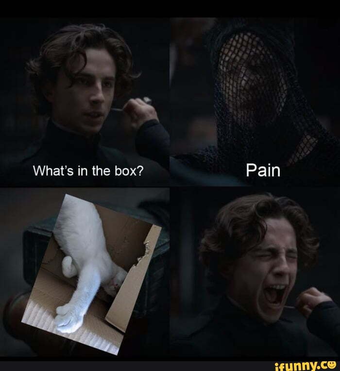 Paul_atreides memes. Best Collection of funny Paul_atreides pictures on ...