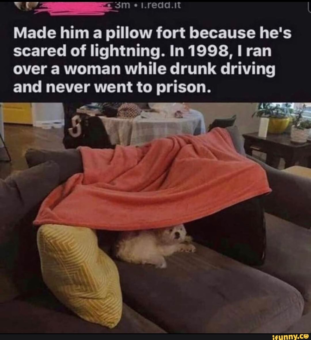 Pillow Fort Memes Pillow Forts Cartoons And Comics Funny Pictures
