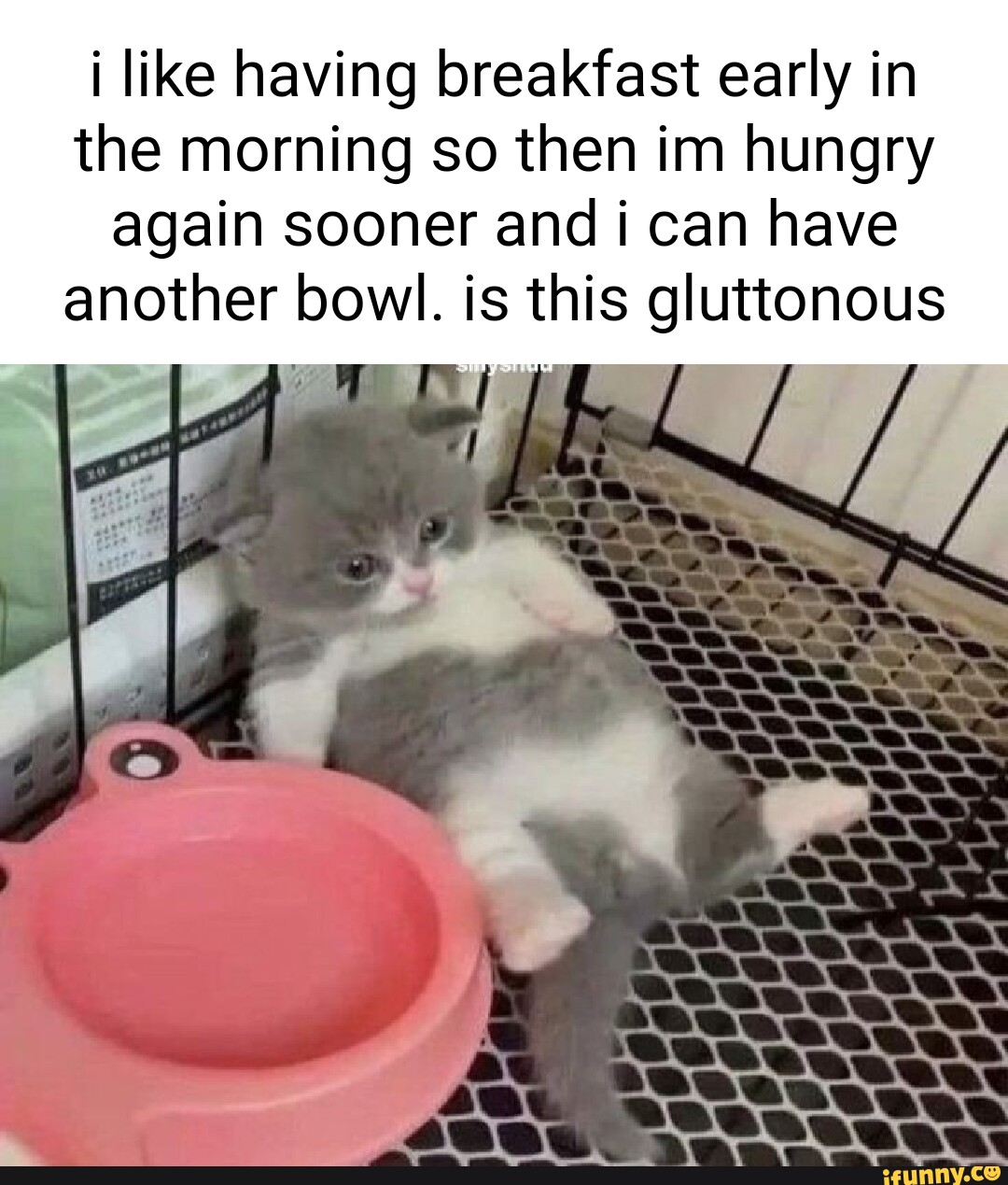 Gluttonous memes. Best Collection of funny Gluttonous pictures on iFunny