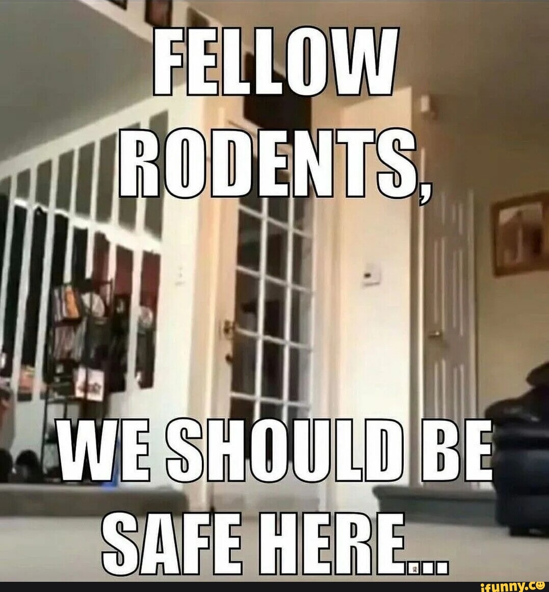 Ode memes. Best Collection of funny Ode pictures on iFunny