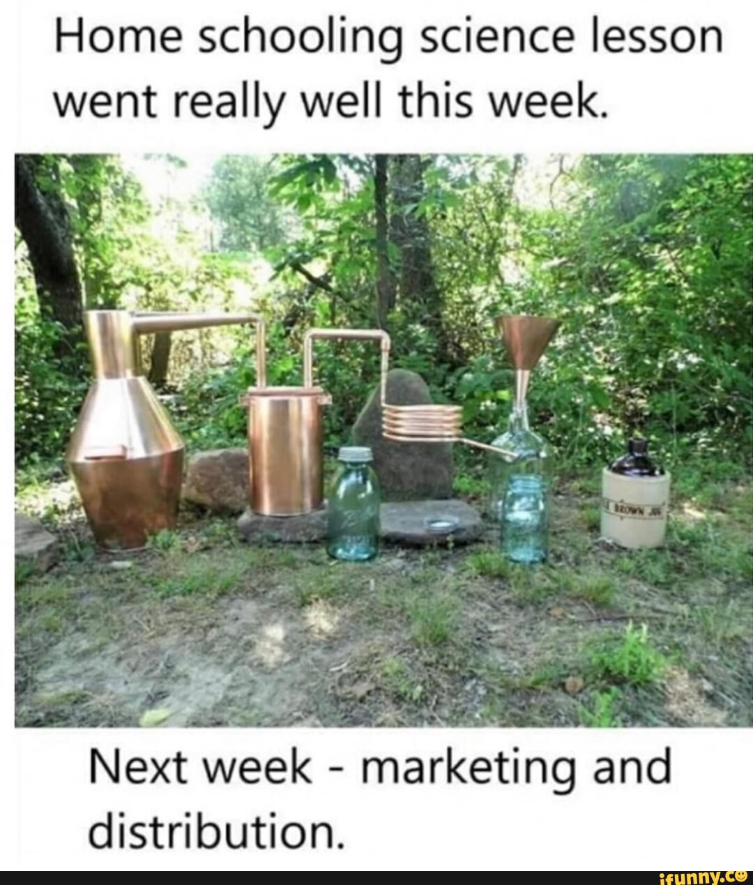 Distribution memes. Best Collection of funny Distribution pictures on ...