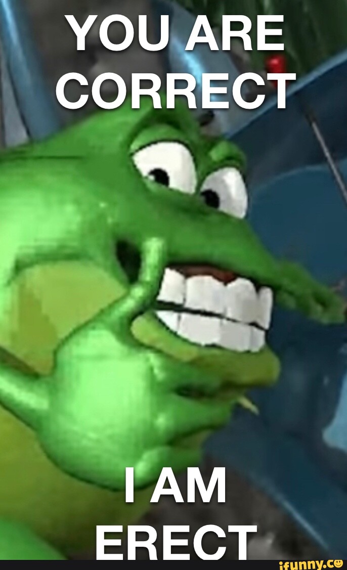 YOU ARE CORRECT AM ERECT. - iFunny