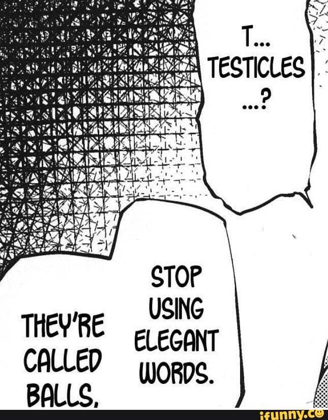 TESTICLES USING THEYRE ecant CALLED WORDS. - iFunny