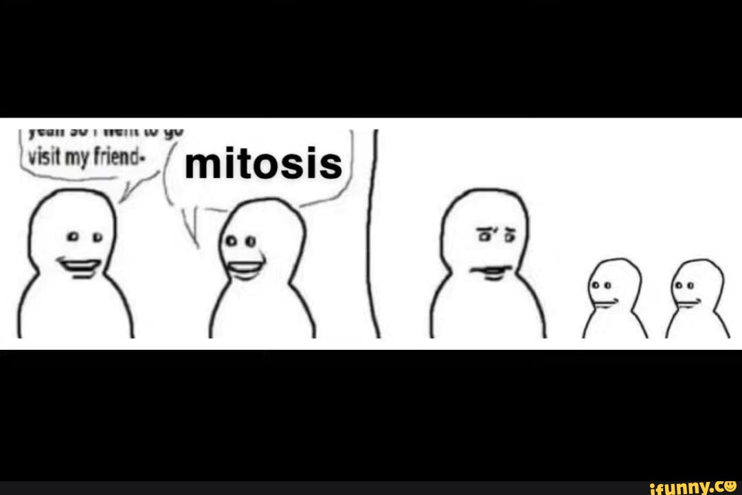 Mitosis memes. Best Collection of funny Mitosis pictures on iFunny