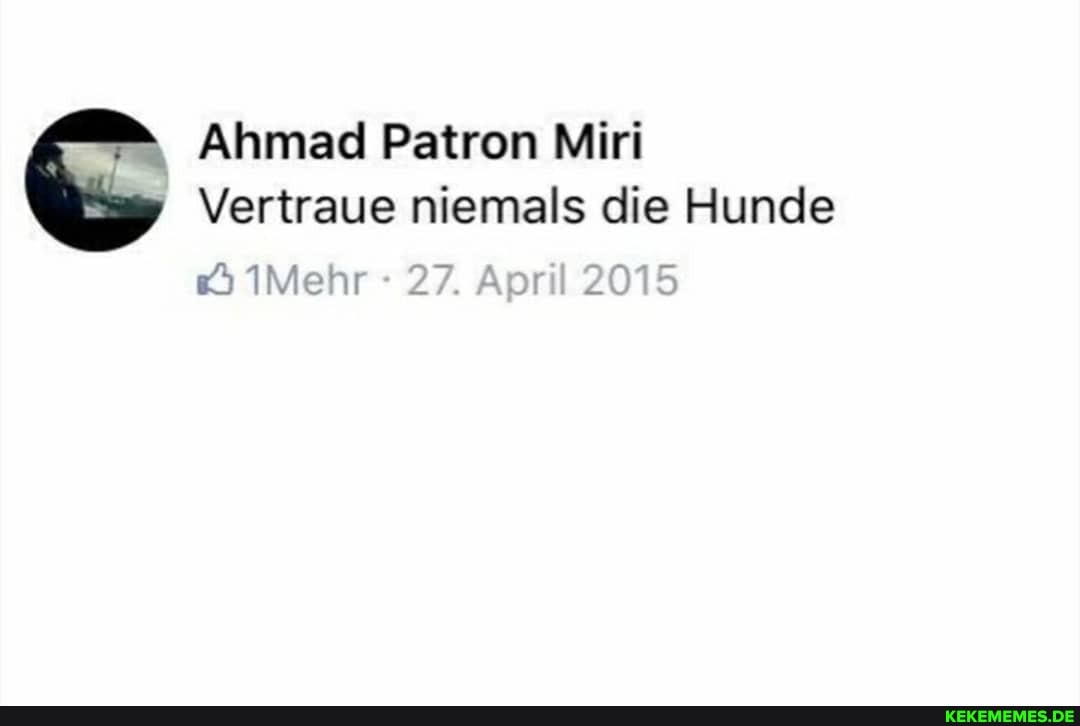 Ahmad Patron Miri Vertraue niemals die Hunde 1Mehr 27. A 2 - Keke
