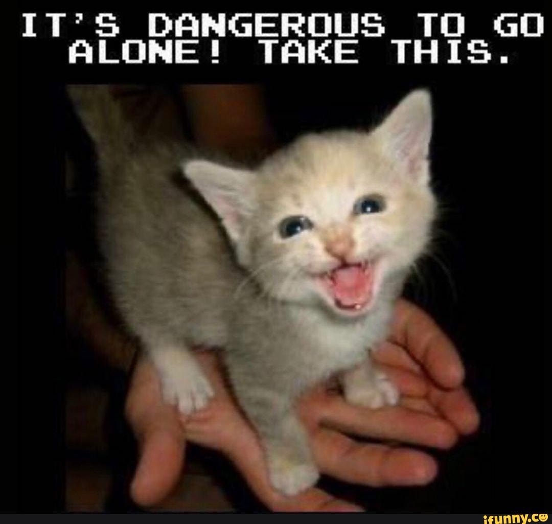 Haven’t seen this meme in years. - IT'S DANGEROUS TO GO ALONE! TAKE THIS. - iFunny