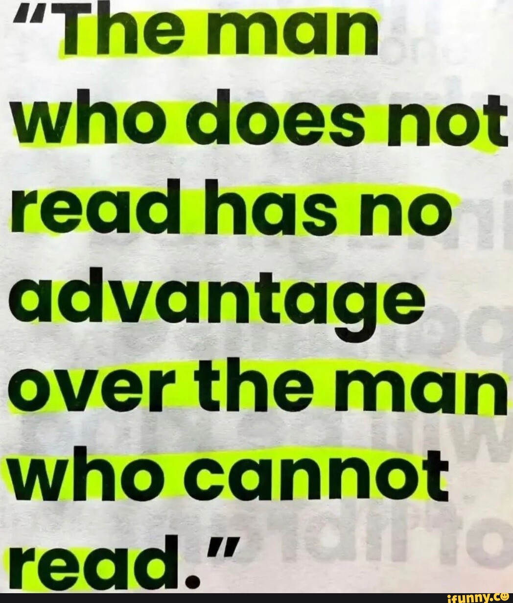 Catto is not amused - iFunny