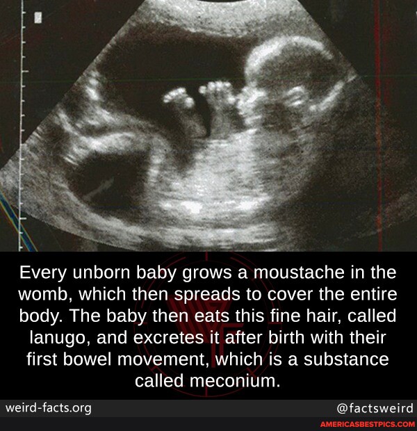 N/A - Every unborn baby grows a moustache in the womb, which then ...