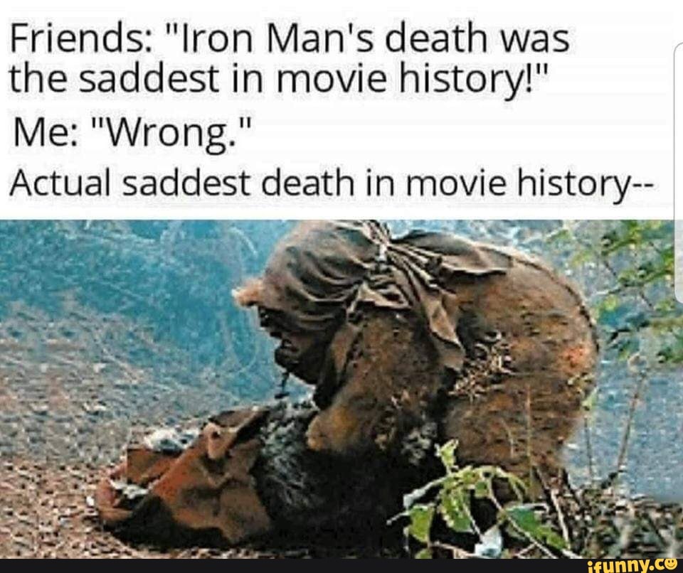 Friends: "Iron Man's death was the saddest in movie history!" Me ...