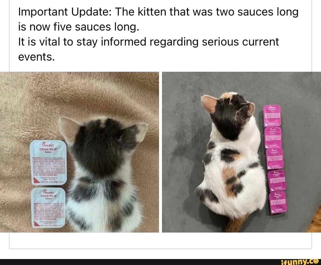Picture memes qkbWA2Nx9 by kawaiilexiii - )