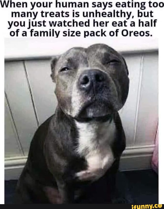 Oreos memes. Best Collection of funny Oreos pictures on iFunny