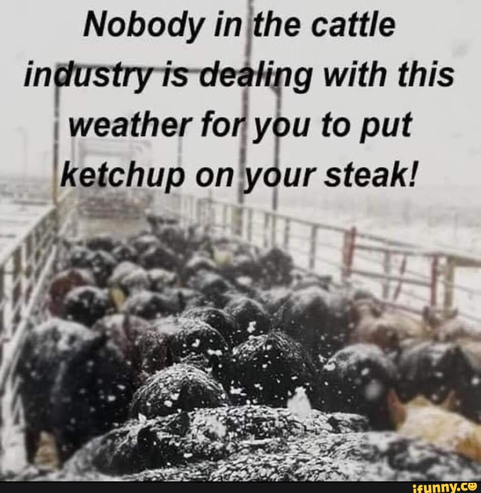 Nobody in the cattle industry is dealing with this I weather for you to ...