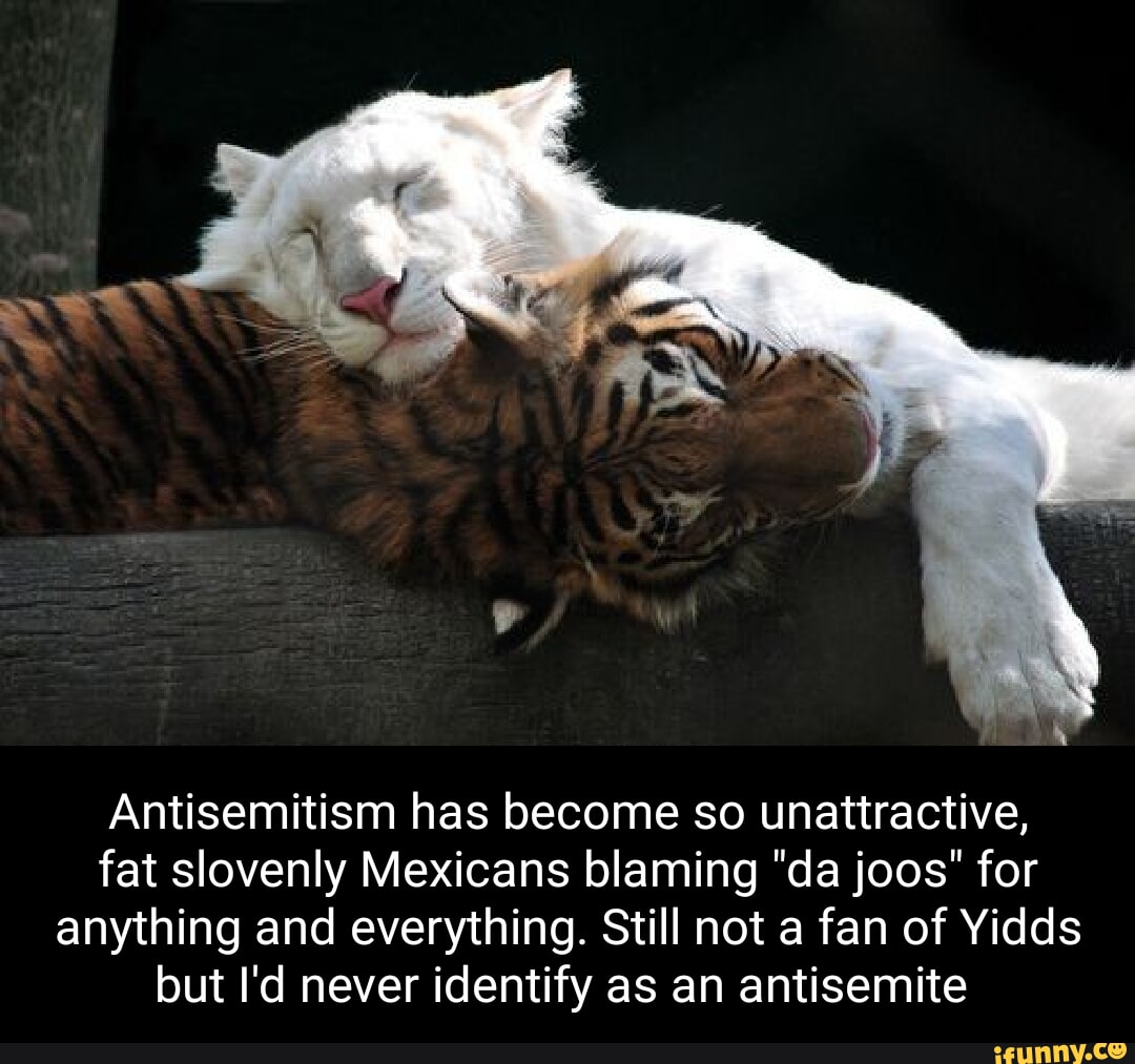 Antisemitism has become so unattractive, fat slovenly Mexicans blaming ...