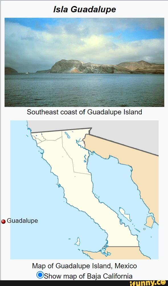 Isla Guadalupe Southeast coast of Guadalupe Island @ Guadalupe Map of ...