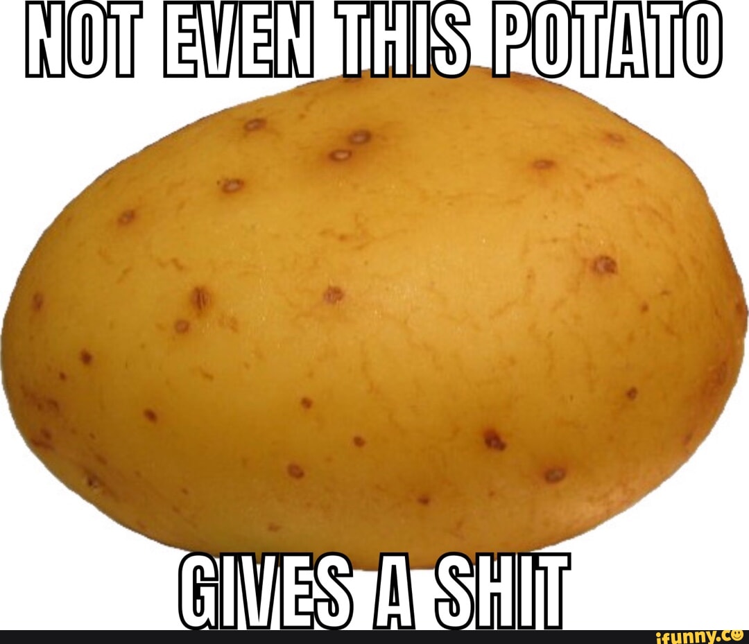 Siro memes. Best Collection of funny Siro pictures on iFunny