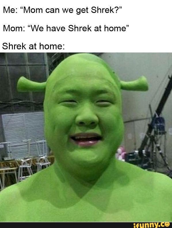 Me: “Mom can we get Shrek?" Mom: “We have Shrek at home” Shrek at home ...