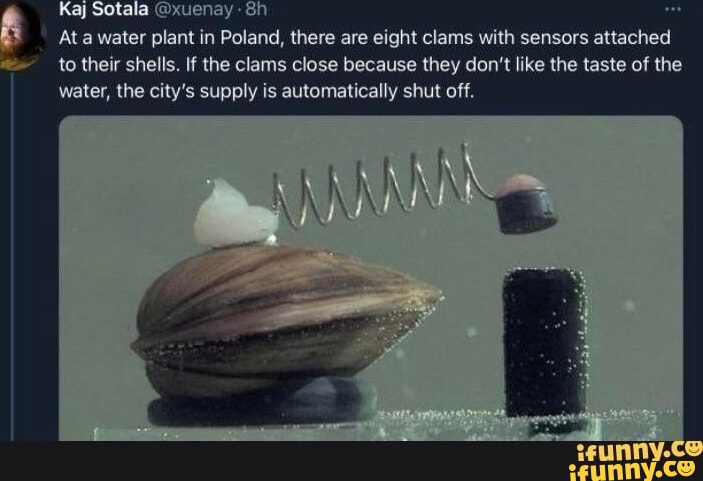 Poland memes. Best Collection of funny Poland pictures on iFunny