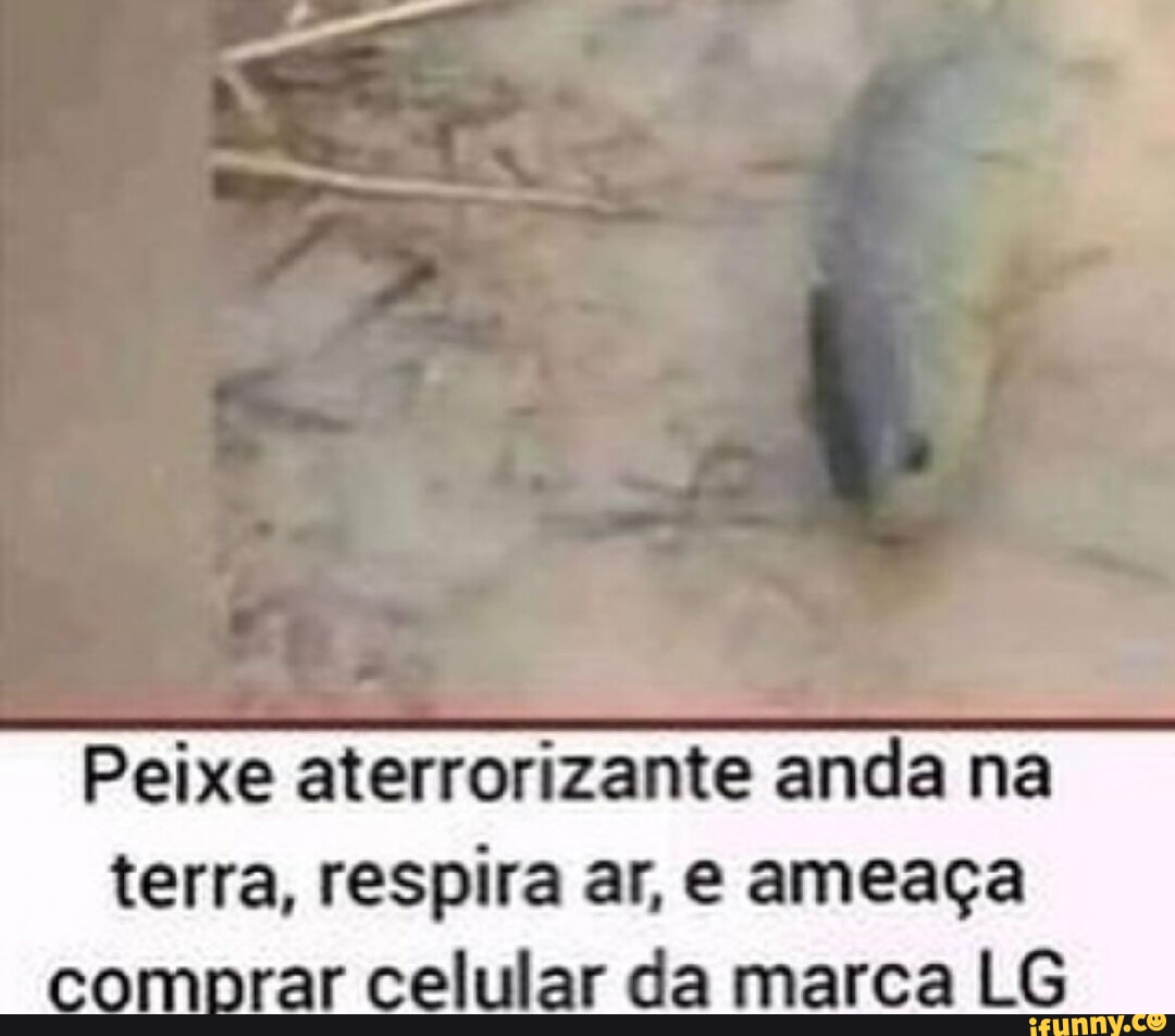 Peixe memes. Best Collection of funny Peixe pictures on iFunny